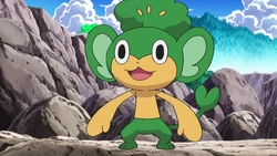 Denord's Pansage | Pokemon Fanfiction Wiki | Fandom