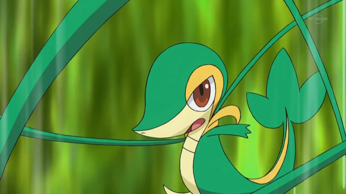 Ash's Snivy (Revise) | PokéFanon | Fandom