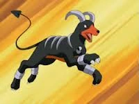 Tom's Houndoom | PokéFanon | Fandom