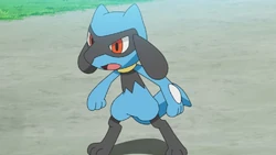 Katashi the riolu (PMD) | PokéFanon | Fandom