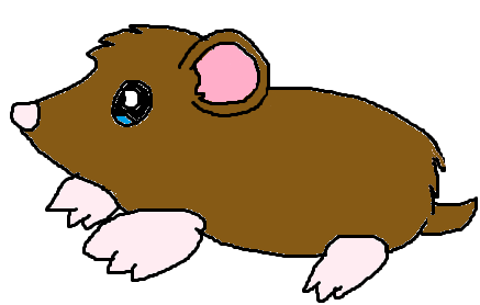 Kyouan Diglett | PokéFanon | Fandom