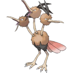 Dodrio (P:UC) | PokéFanon | Fandom