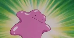 Ditto (mystery Dungeon) | PokéFanon | Fandom
