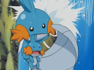 The Mudkip Army Invasion! | PokéFanon | Fandom