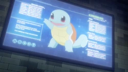 Gary's Squirtle (Rewritten) | PokéFanon | Fandom