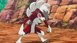 Vance's Lycanroc | PokéFanon | Fandom