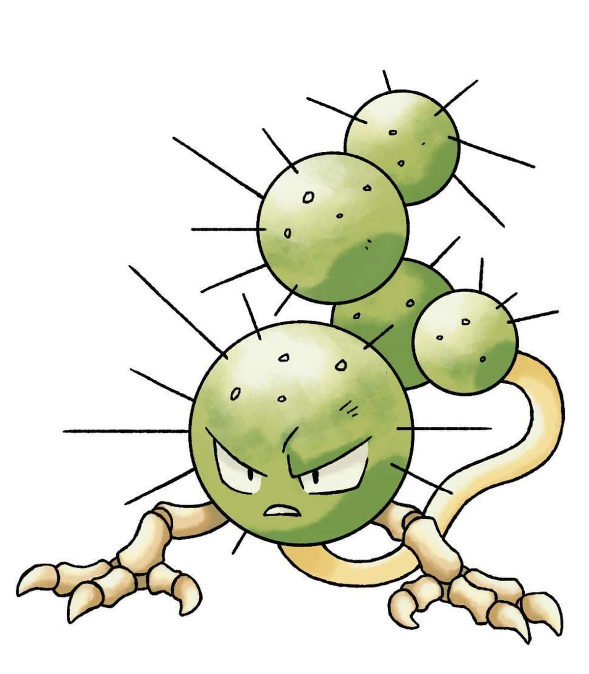 Cactus (P:UC) | PokéFanon | Fandom