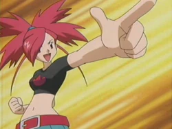 Flannery (Forever) | PokéFanon | Fandom