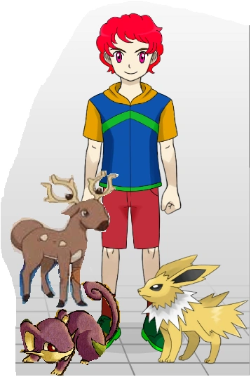 Kota | PokéFanon | Fandom