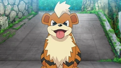 Tanner Pierce | PokéFanon | Fandom