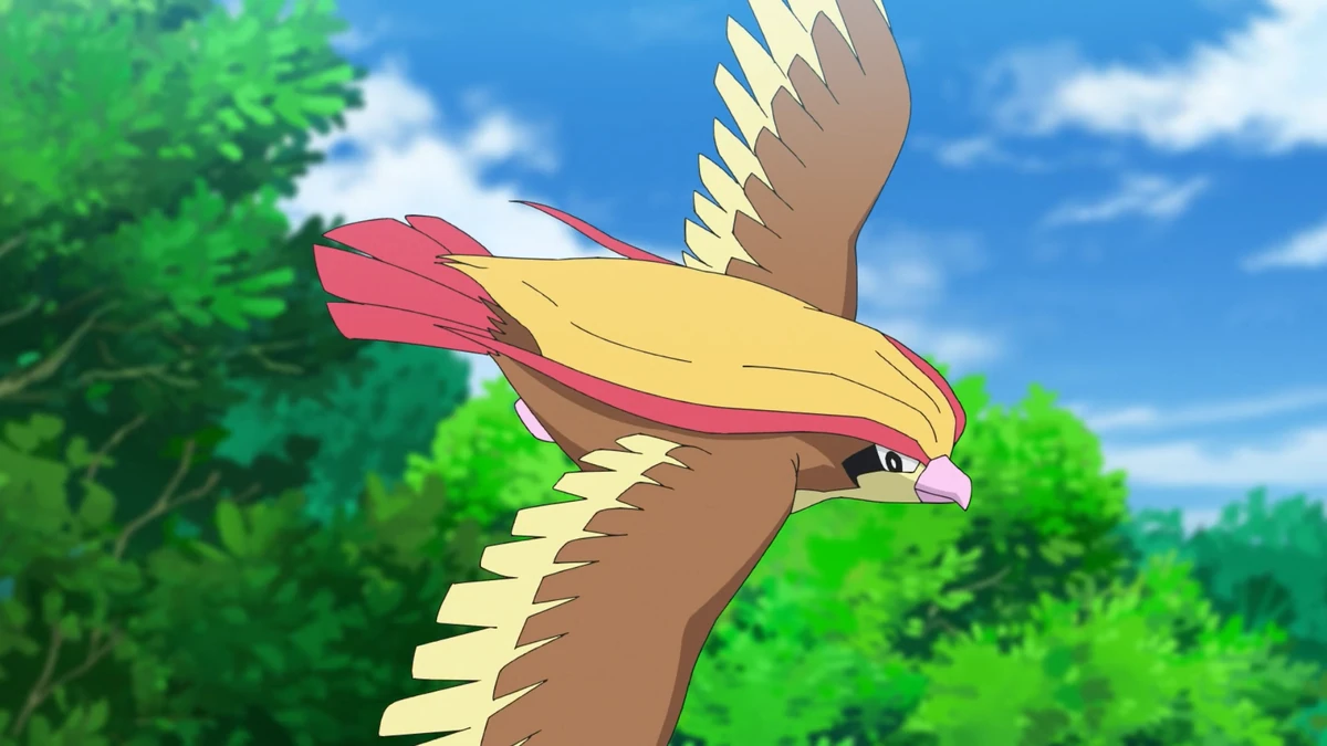 Chase's Pidgeot | PokéFanon | Fandom