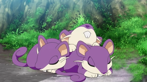 Rattata (Mystery dungeon) | PokéFanon | Fandom