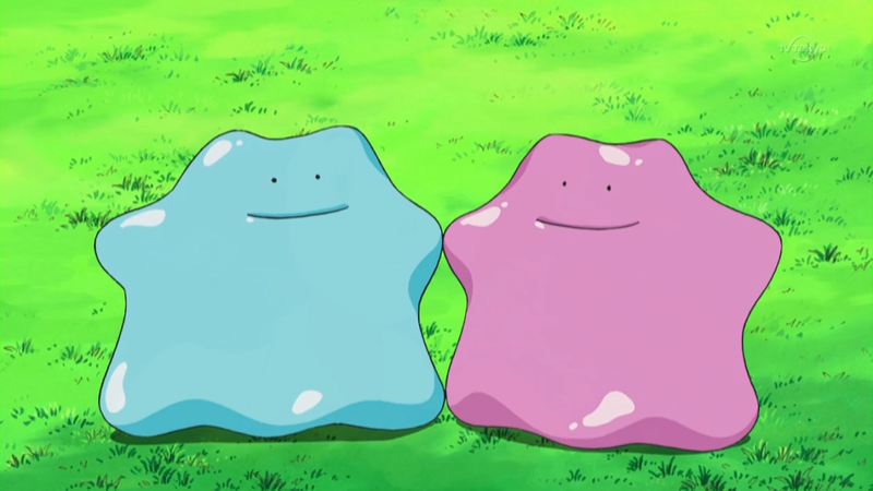 Ash's Ditto (First Generation) | PokéFanon | Fandom