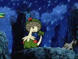 Breloom (Mystery Dungeon) | PokéFanon | Fandom