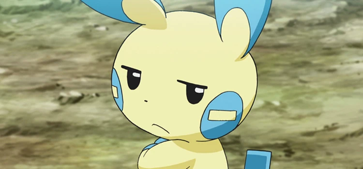Minun (mystery dungeon) | PokéFanon | Fandom