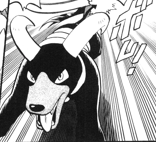 Cerberus, Jane's Houndoom (Forever) | PokéFanon | Fandom