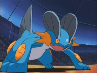 Ash’s Swampert (Better Version) | PokéFanon | Fandom