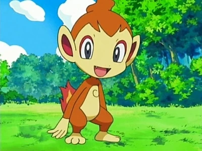Shiko's Chimchar | PokéFanon | Fandom