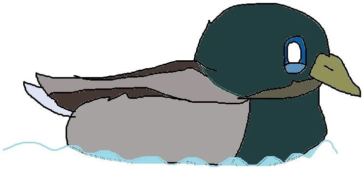 Pudduck | PokéFanon | Fandom