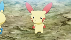 Poli's Plusle | PokéFanon | Fandom