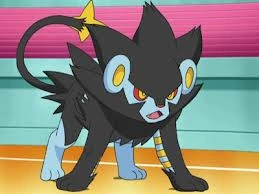 Tom's Luxray | PokéFanon | Fandom