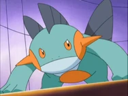 Angelina Wattson (TLH) | PokéFanon | Fandom