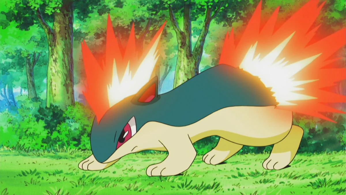 Pade's Quilava | PokéFanon | Fandom