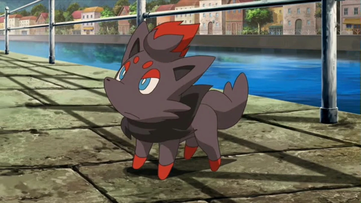 Sarah's Zorua (Trials of Sarah) | PokéFanon | Fandom