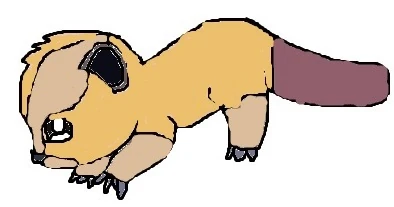 Kyouan bidoof | PokéFanon | Fandom