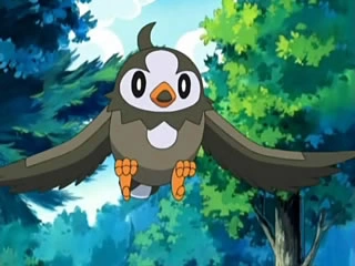 Levant, Rufous' Staraptor | PokéFanon | Fandom