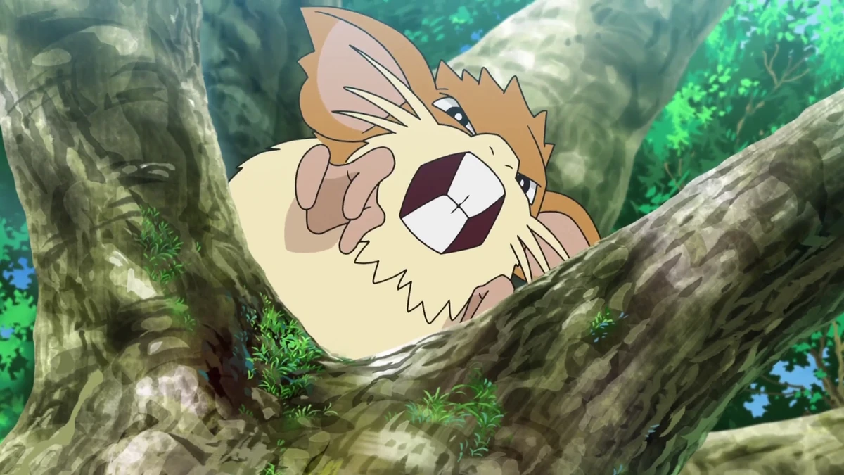 Ash's Raticate (Gobstop) | PokéFanon | Fandom