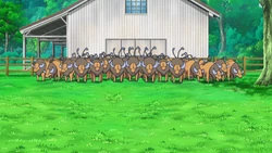 Pierce Farm | PokéFanon | Fandom