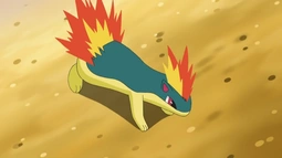 Release the Quilava! | PokéFanon | Fandom