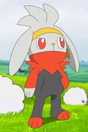 The Pokemon Journey of charlotte | PokéFanon | Fandom