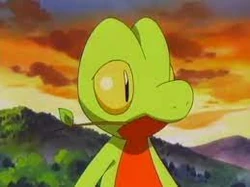 Treecko (mysterY dungeon) | PokéFanon | Fandom