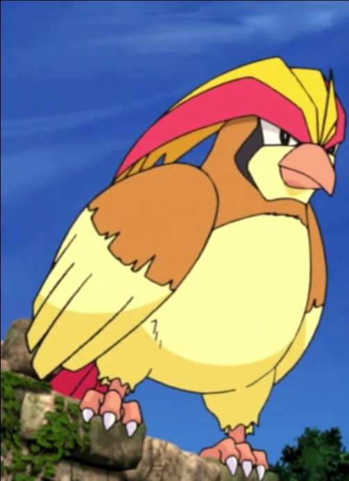 Gale the pidgeot | PokéFanon | Fandom
