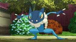 Renee's Frogadier | PokéFanon | Fandom