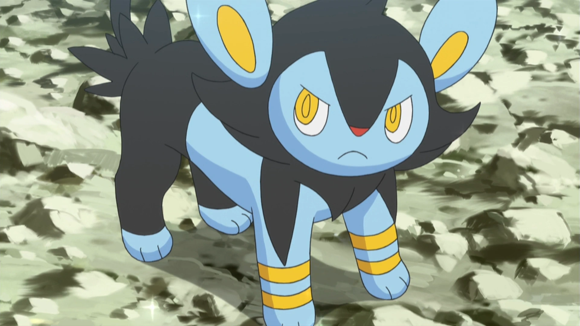 Ash's Luxray (Forever) | PokéFanon | Fandom
