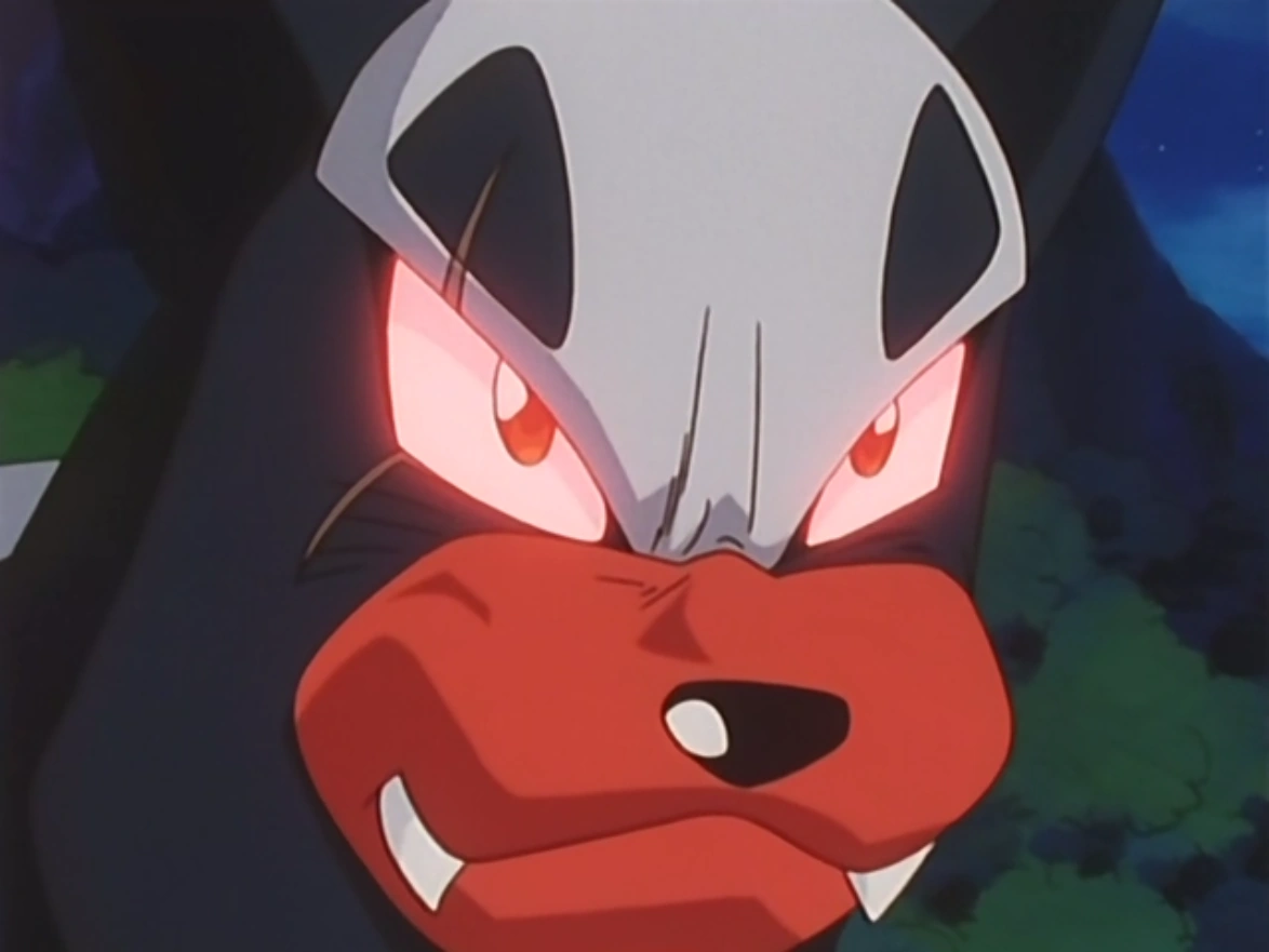 Ash's Houndoom (Forever) | PokéFanon | Fandom