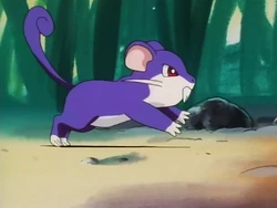 Ash's Rattata (Rewritten) | PokéFanon | Fandom
