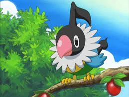 Ash's Chatot | PokéFanon | Fandom