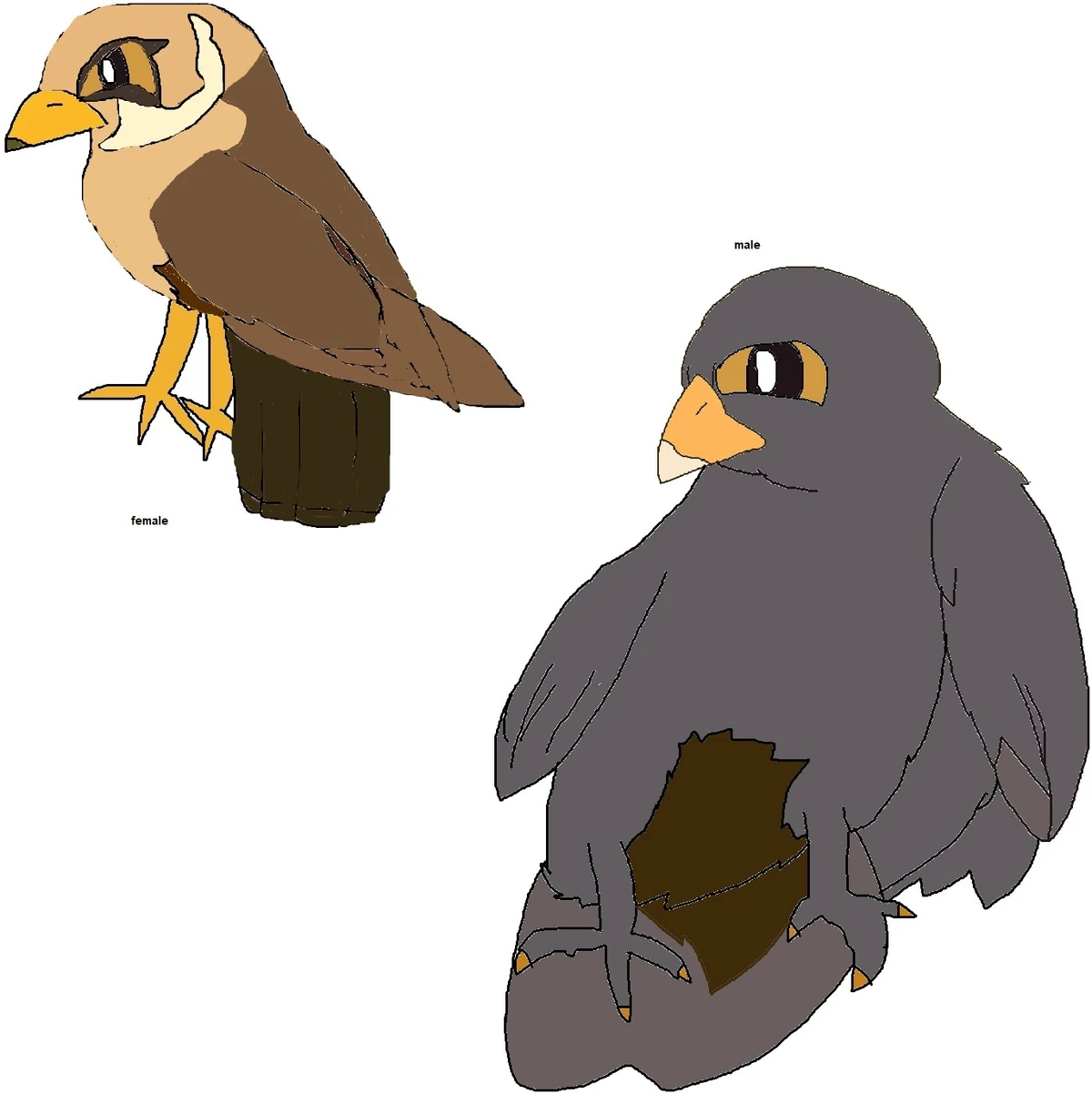 Adulcon | PokéFanon | Fandom