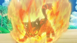 Torra the torracat | PokéFanon | Fandom
