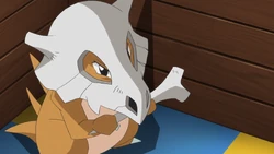 Cubone (HBH) | PokéFanon | Fandom