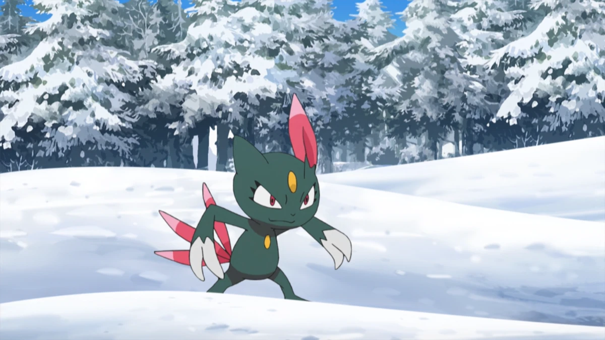 Christian's Sneasel | PokéFanon | Fandom