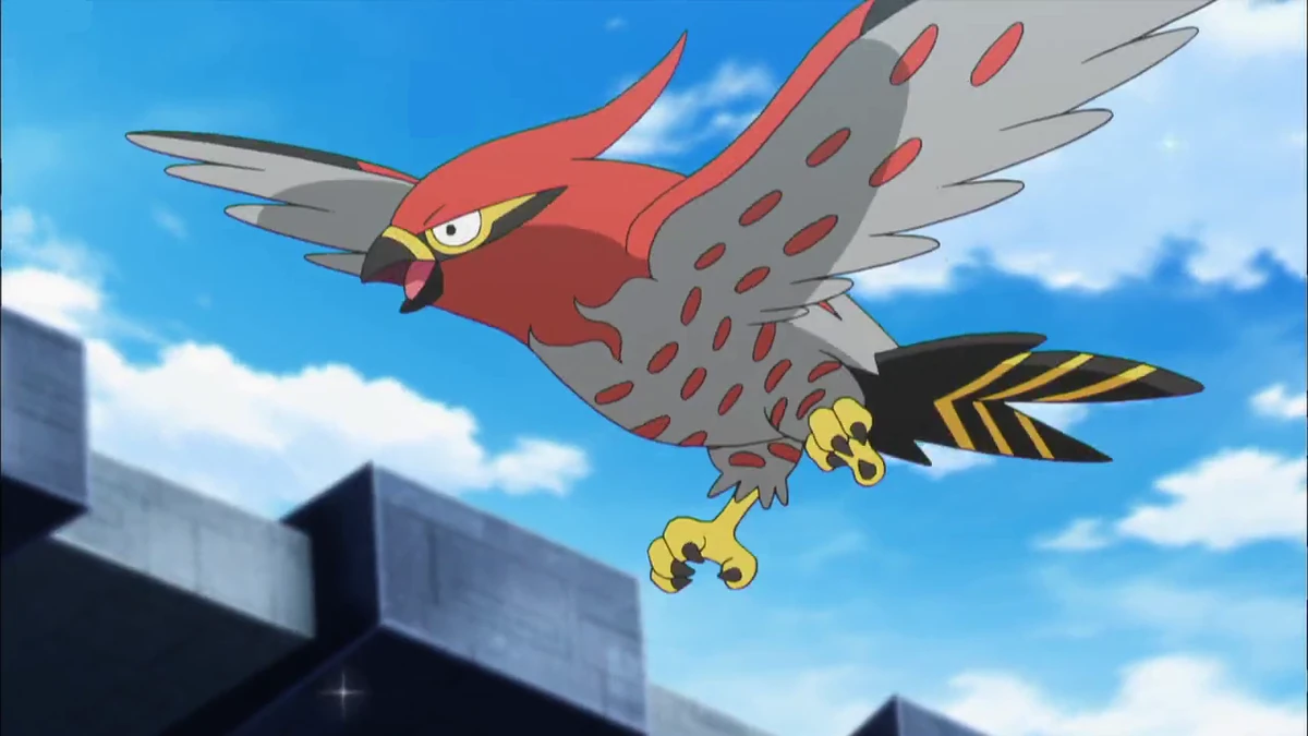 Ash's Talonflame (Gobstop) | PokéFanon | Fandom
