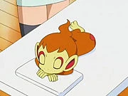 Pan | PokéFanon | Fandom