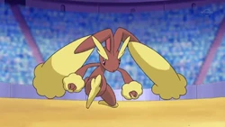 Ryder's Lopunny | PokéFanon | Fandom