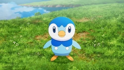 Piply | PokéFanon | Fandom
