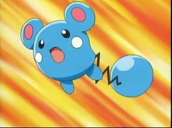 Azurill (Mystery Dungeon) | PokéFanon | Fandom